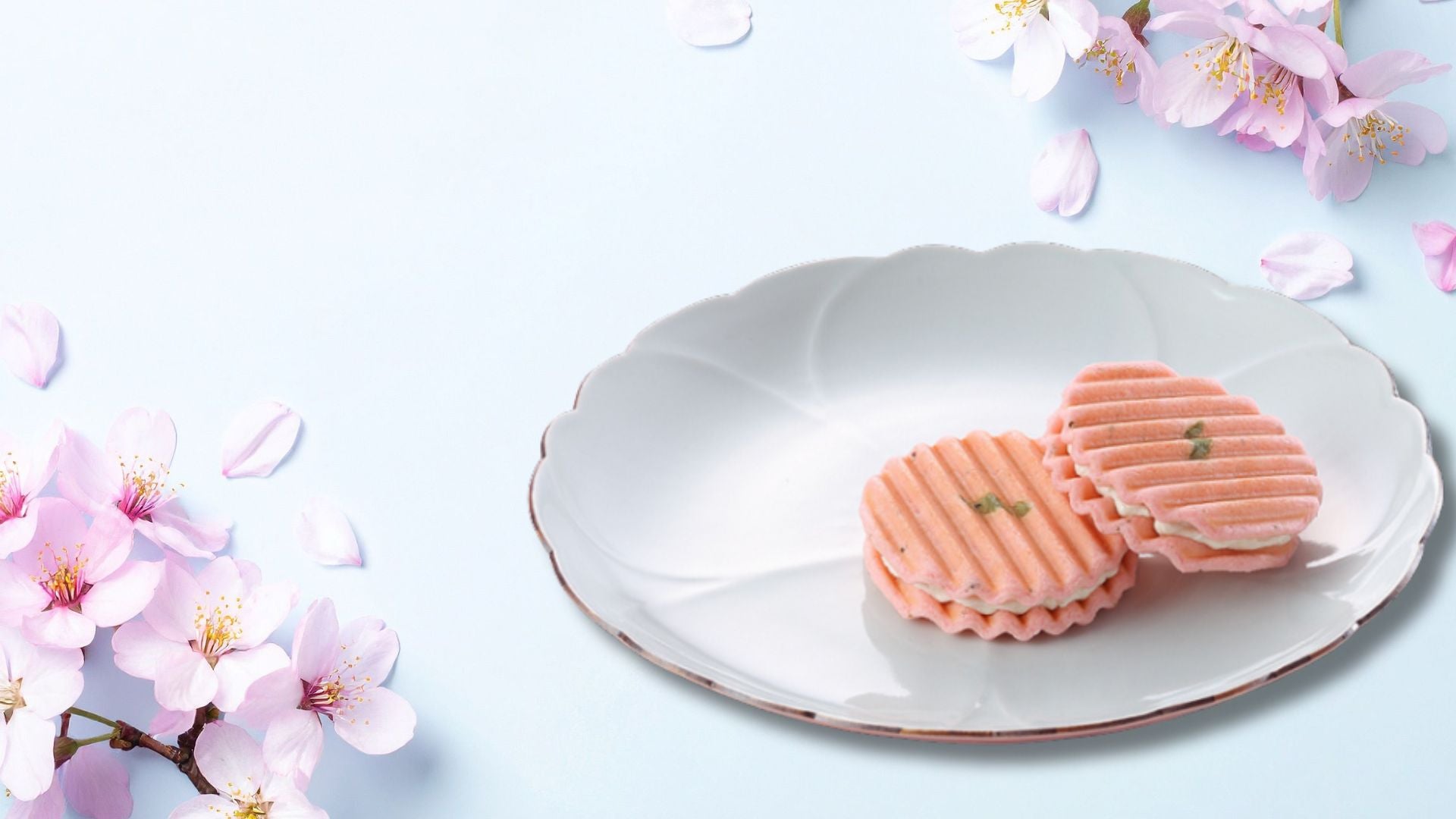 J.sweets - Delectable Japanese Sweets – J_sweets_USA